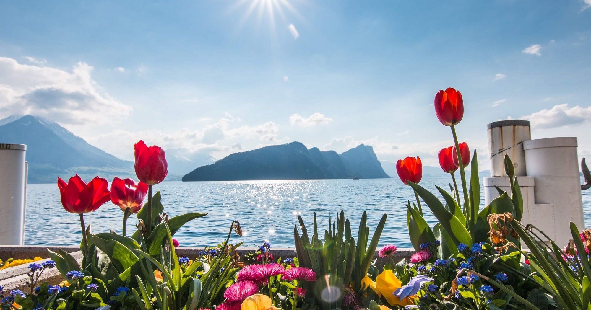 Spring on the Lucerne Riviera | weggis-vitznau.ch