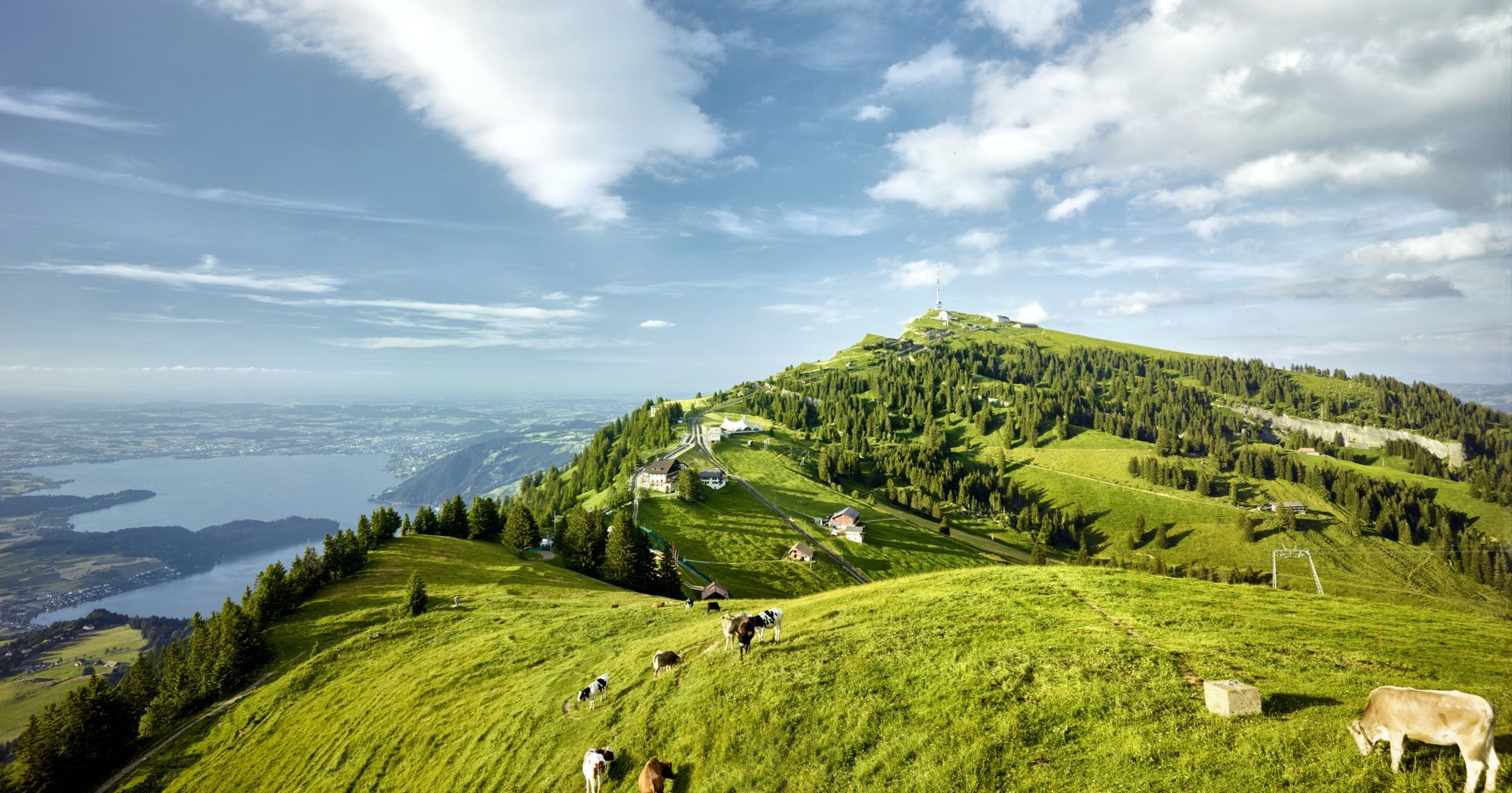 Rigi - Queen of the Mountains | Activities & Excursions